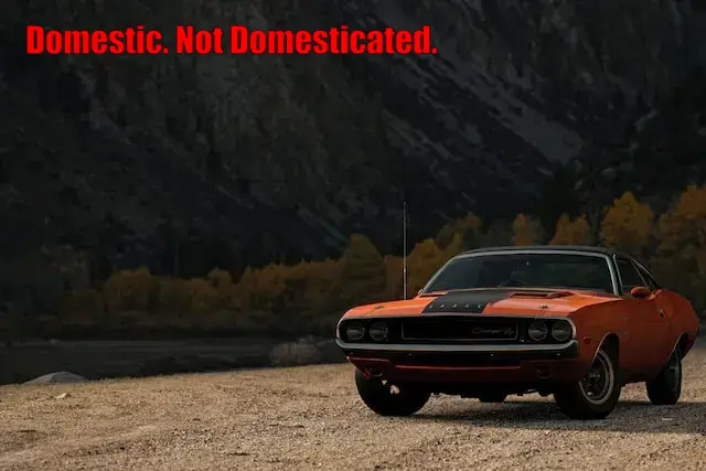 Dodge Iconic Slogan, Taglines, Quotes and Sayings